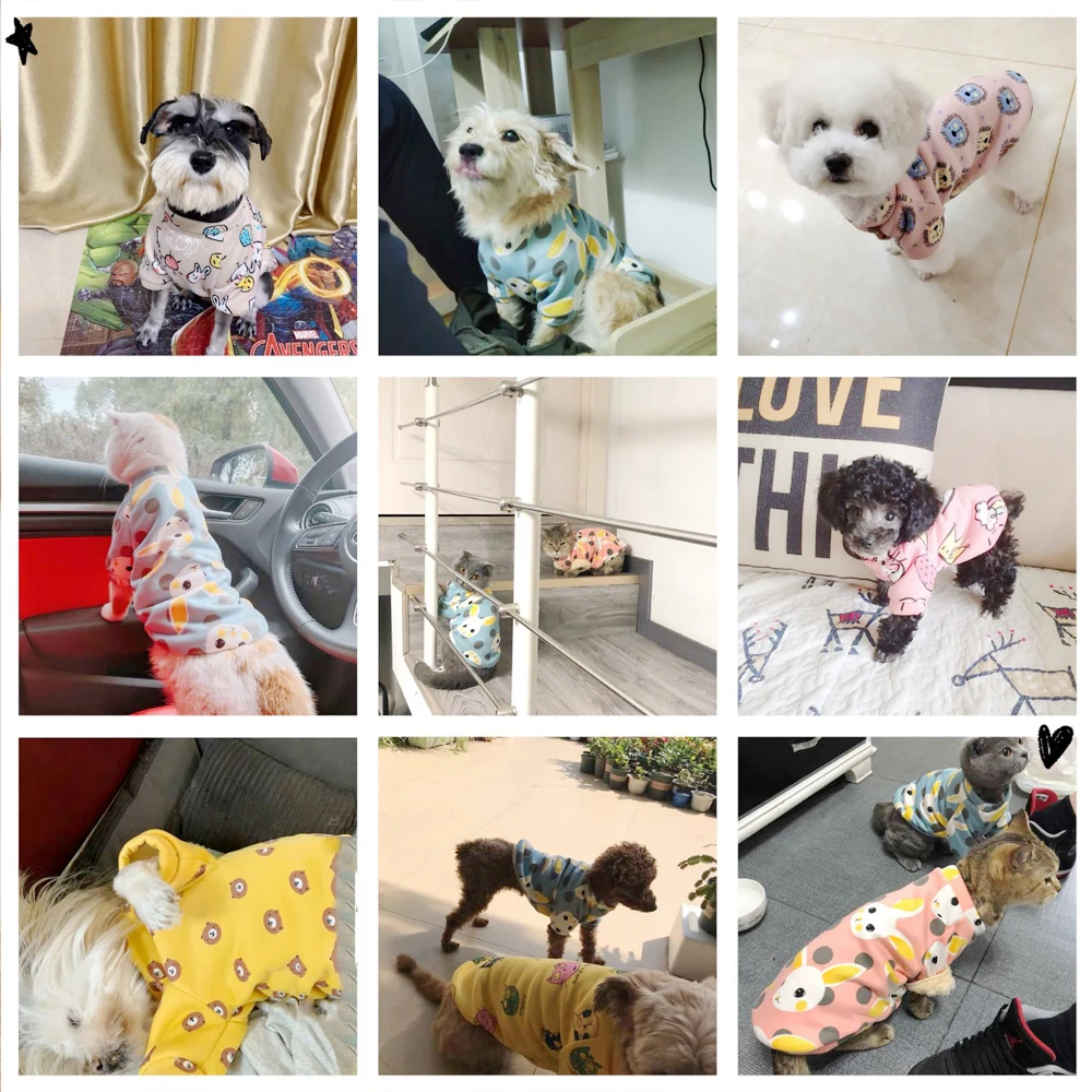Soft Cotton Dog Clothes With Cute Colorful Patterns Keep Them Warm ...