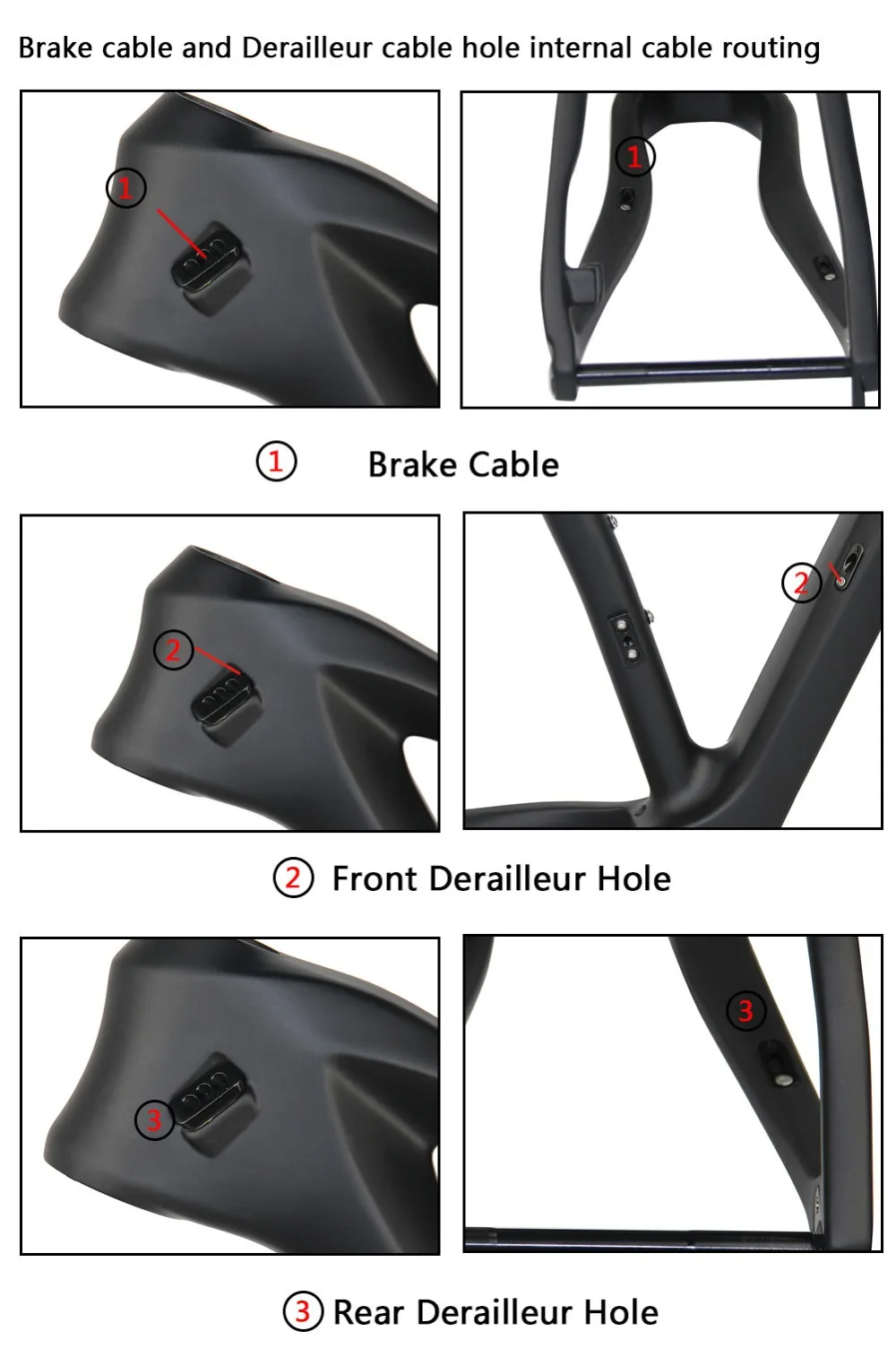 Lexon Carbon Mountain Bike Frame - Mountainotes LCC Outdoors and Fitness