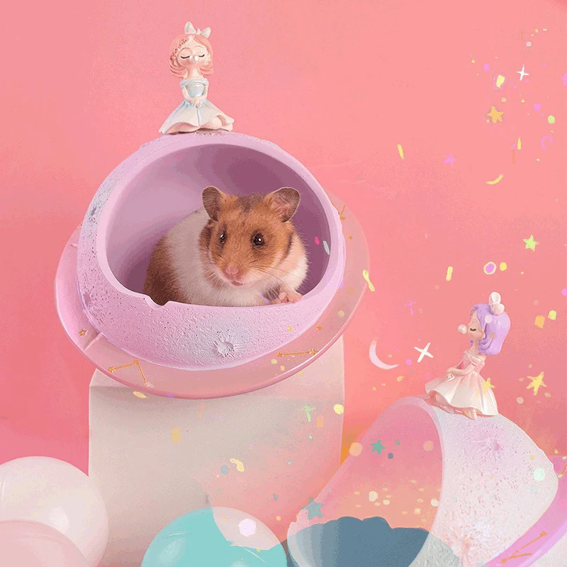 Cool Hamster Accessories