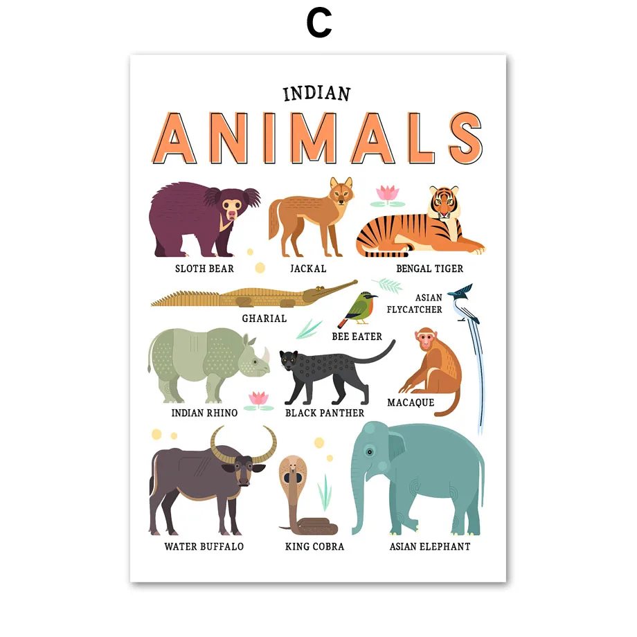 Indian Animals Chart