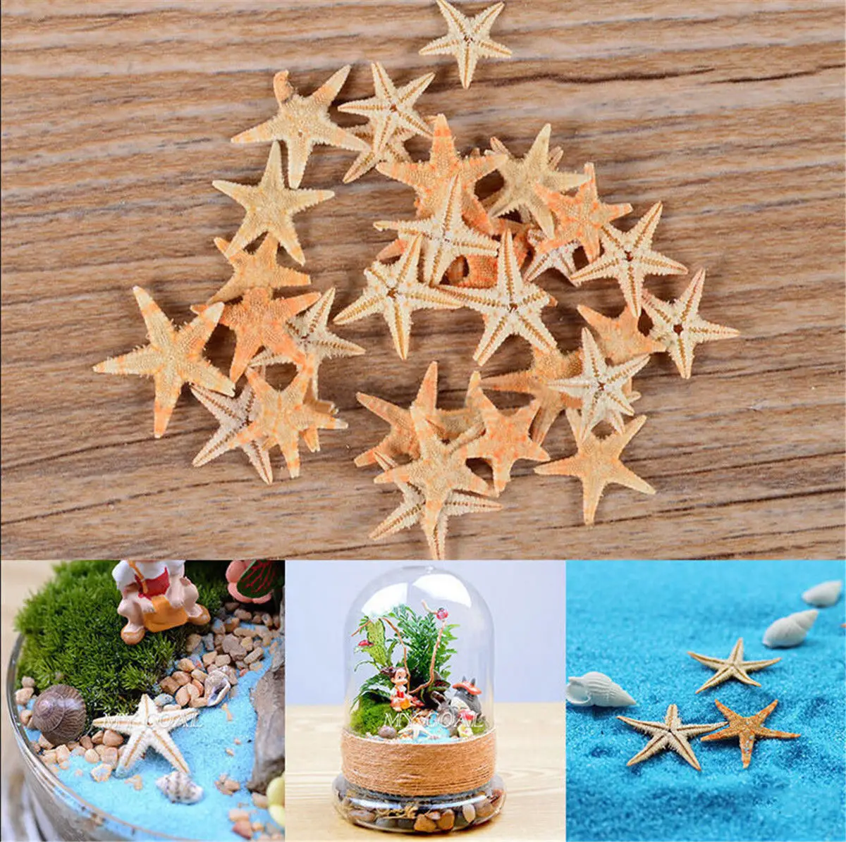 10Pcs-New-Cute-Small-Mini-Starfish-Sea-Star-Shell-Beach-Deco-Craft-DIY ...