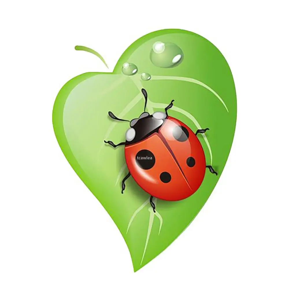 Ladybug On A Leaf Clip Art