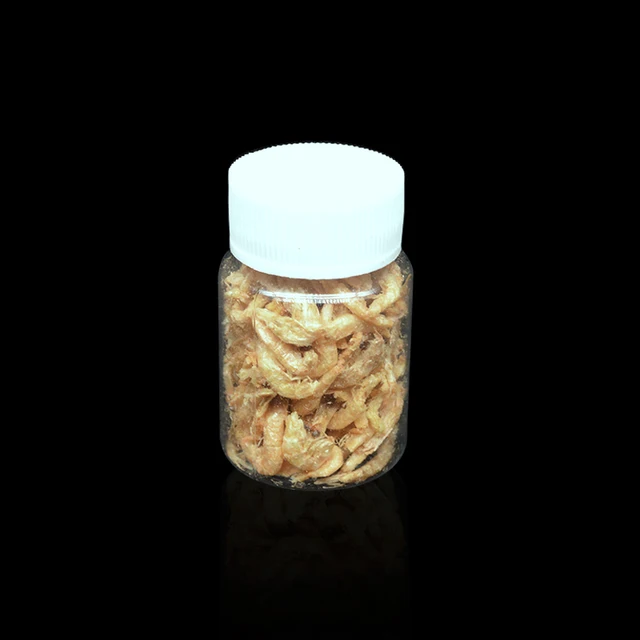 20g Dried Shrimps Ant Food Nutritious Protein Ants Nest Pet Anthill ...
