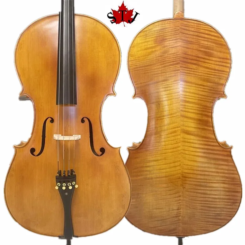 Rare Professional Song "master" Cello 4/4 , Hand Made,huge And Powerful ...