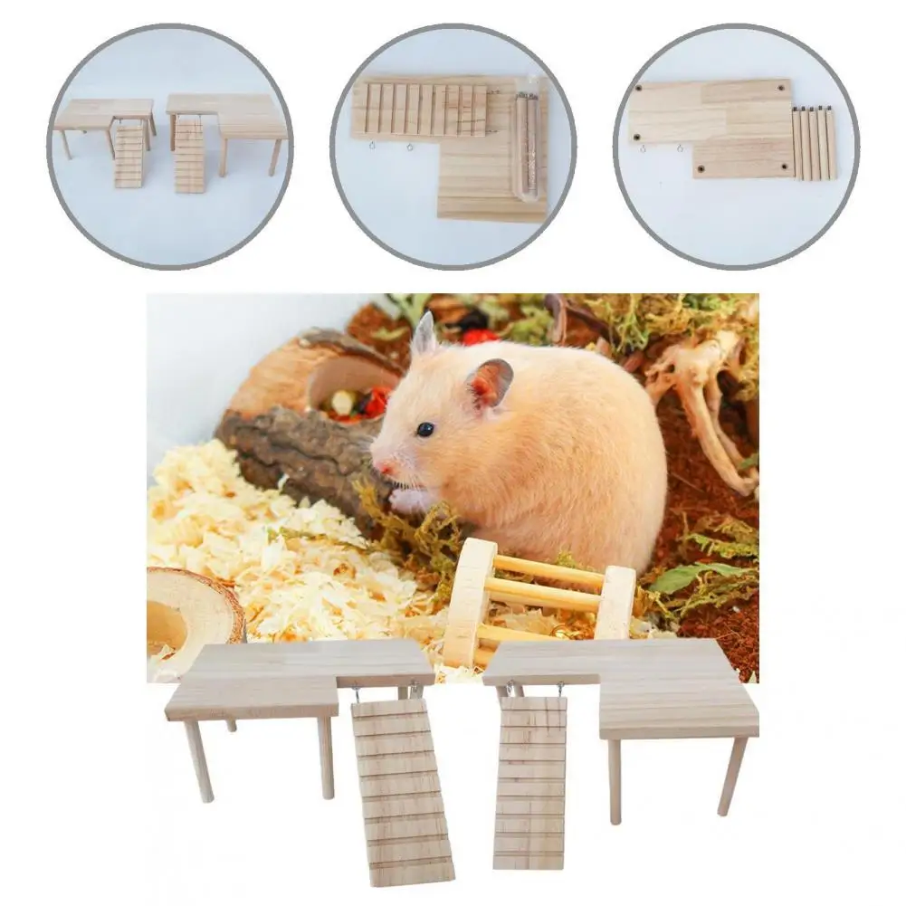 Hamster Toys Diy