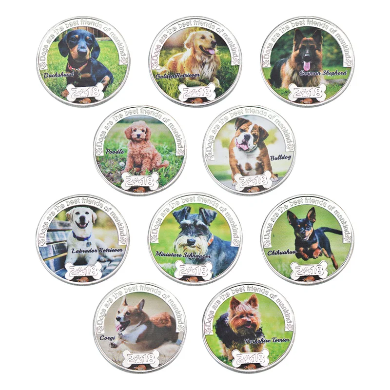 WR-10pcs-Pets-Dog-Silver-Coins-Collectibles-with-Coin-Holder-Animal ...