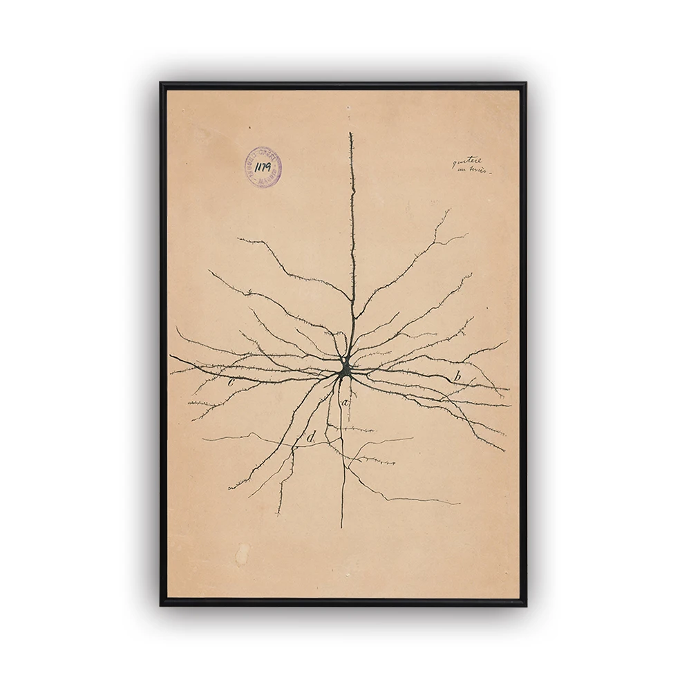 Craft Supplies & Tools Visual Arts Vintage Neuron Drawing By Santiago ...