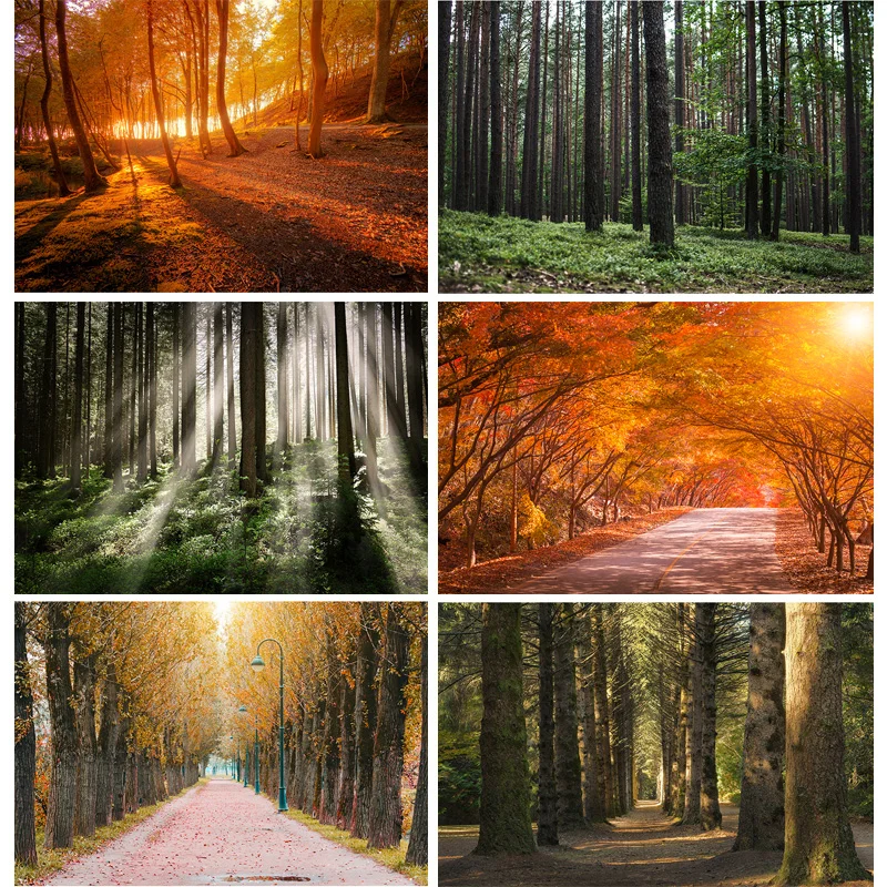 Green Forest Nature Scenery Photography Background Landscape Portrait ...