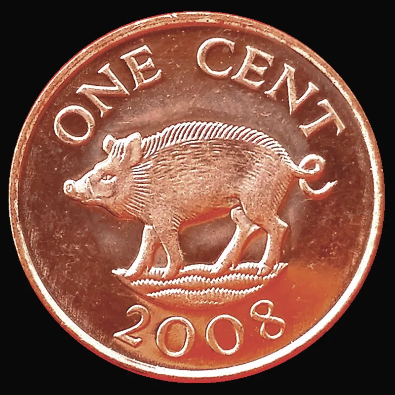 Bermuda Island 1 Cent Coins 100% Real Original Collection - AliExpress