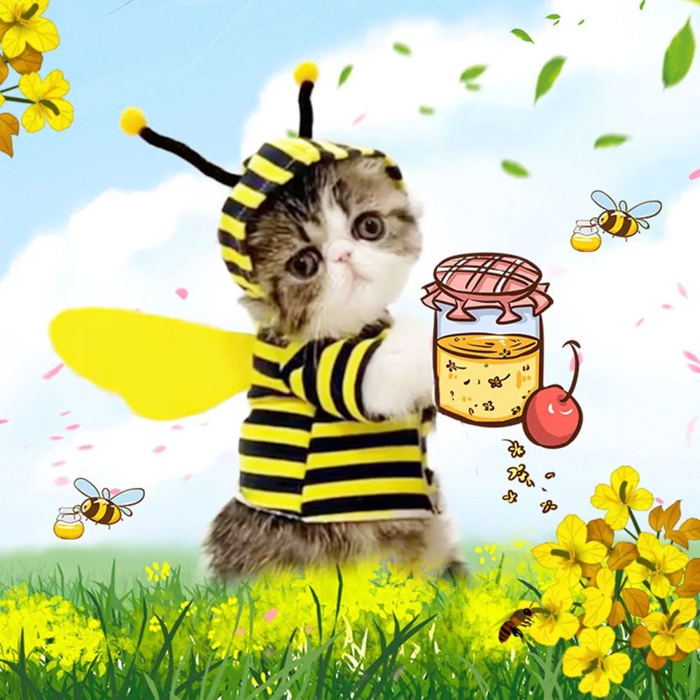 Cosplays Your Dog Into A Lovely Golden Bee In Just A Few Minutes ...