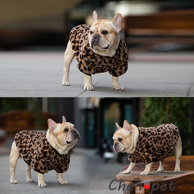 Pet Leopard Car