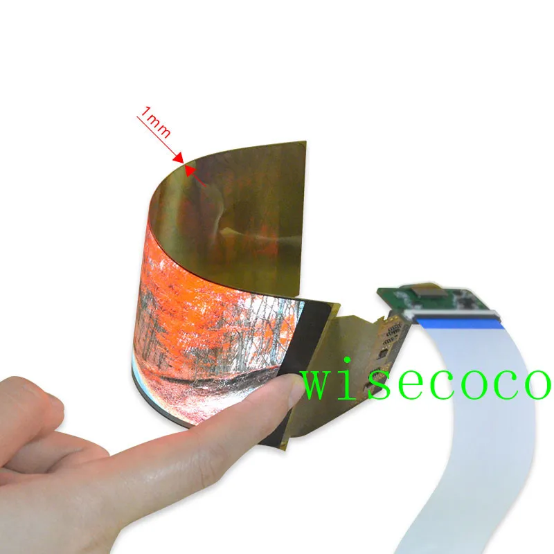 Sony Flexible Oled Screen
