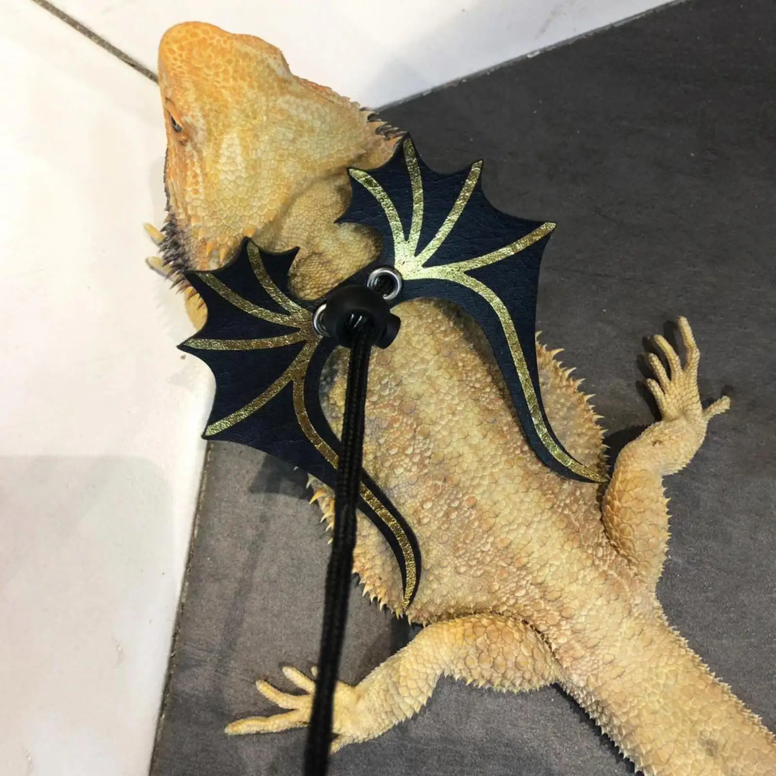 Bearded Dragon With Wings