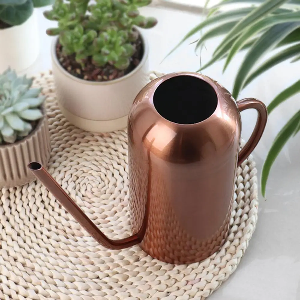 1500ml-Long-Mouth-Stainless-Steel-Watering-Can-Pot-for-Succulent-Bonsai ...