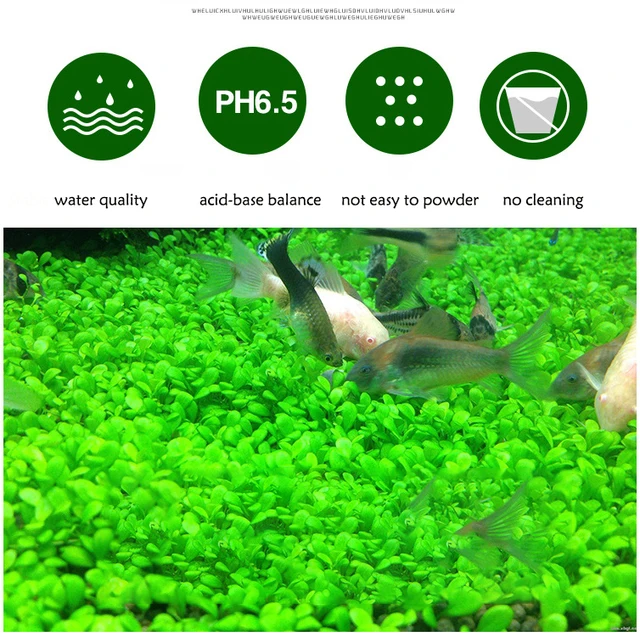 Aquarium Plant Seeds Soil Fishtank Substrate Sand Soil Fertilizer Mud ...