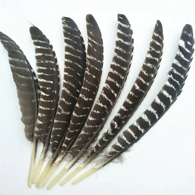 Plumas de águila naturales reales para decoración de boda, plumas de ...