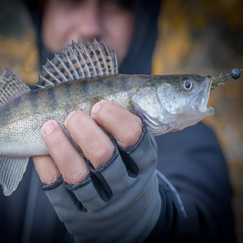 Blue Water sales Guide Service