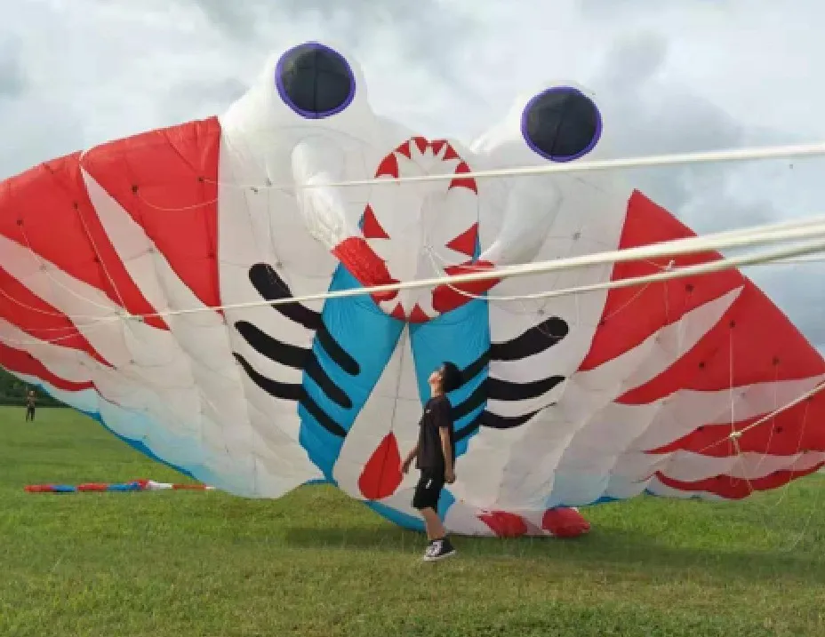 flying-bird-new-single-line-kite-vlieger-cerf-volant-cometas-para ...