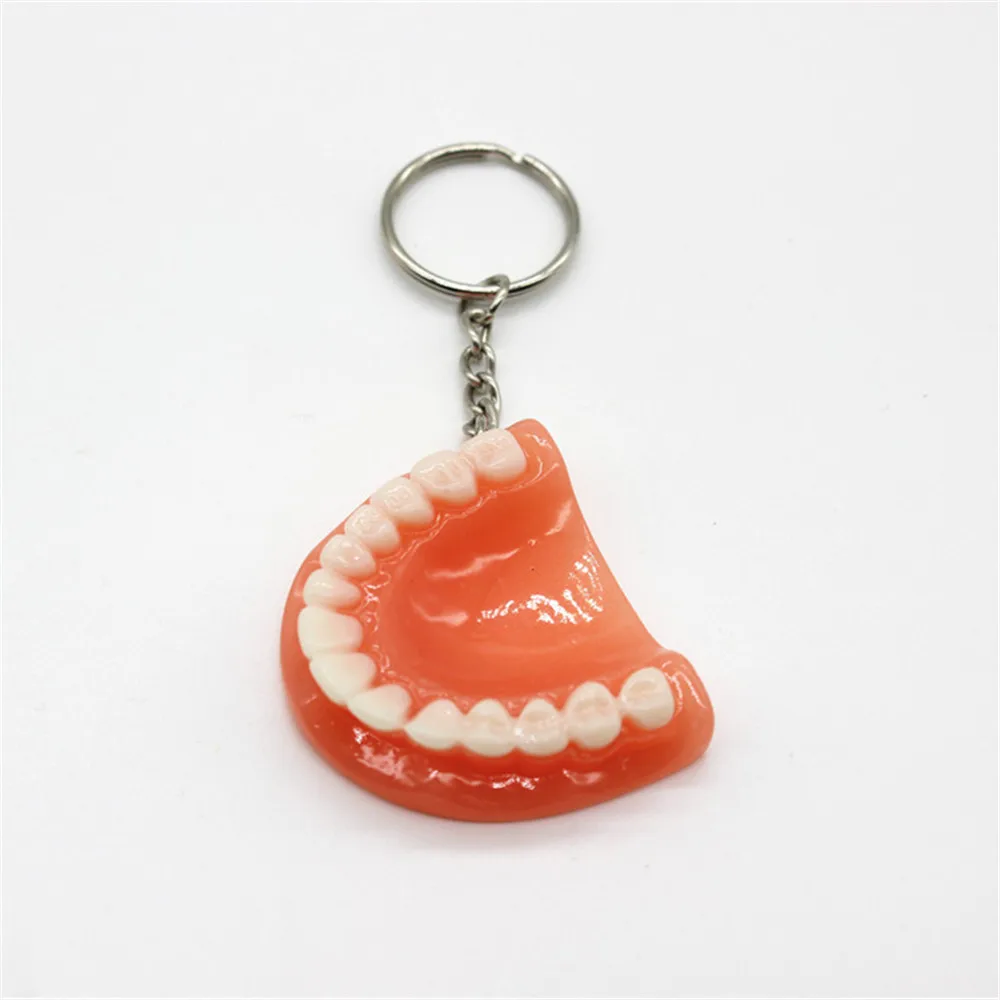 Creative Tooth Key Chain Resin Molar Upper Jaw Model Shape Denture ...