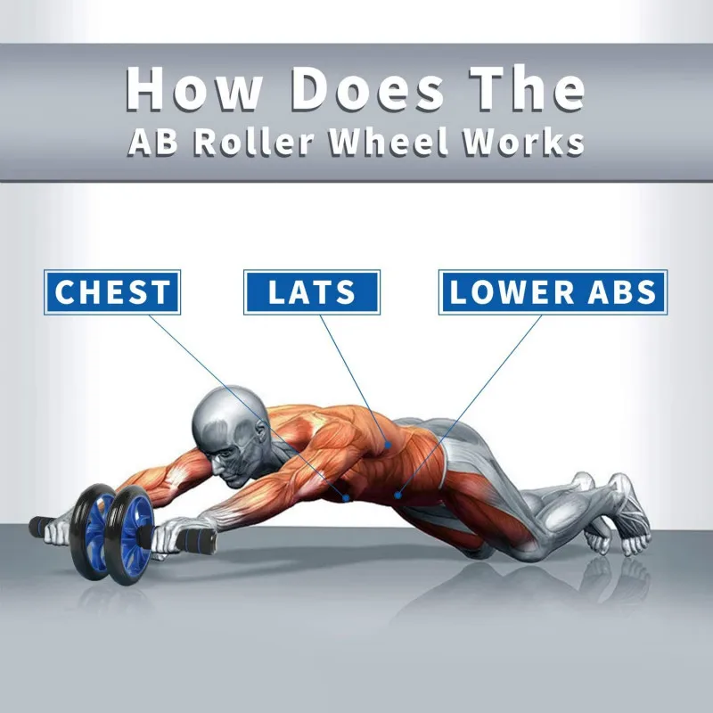 Abdominal AB Roller Double Wheel ABS Trainer Muscle Exercise Training ...