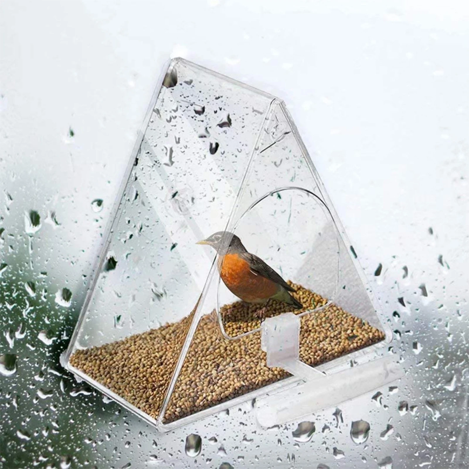 Transparent-Waterproof-Bird-Feeder-Waterproof-Hanging-Birds-Triangle ...