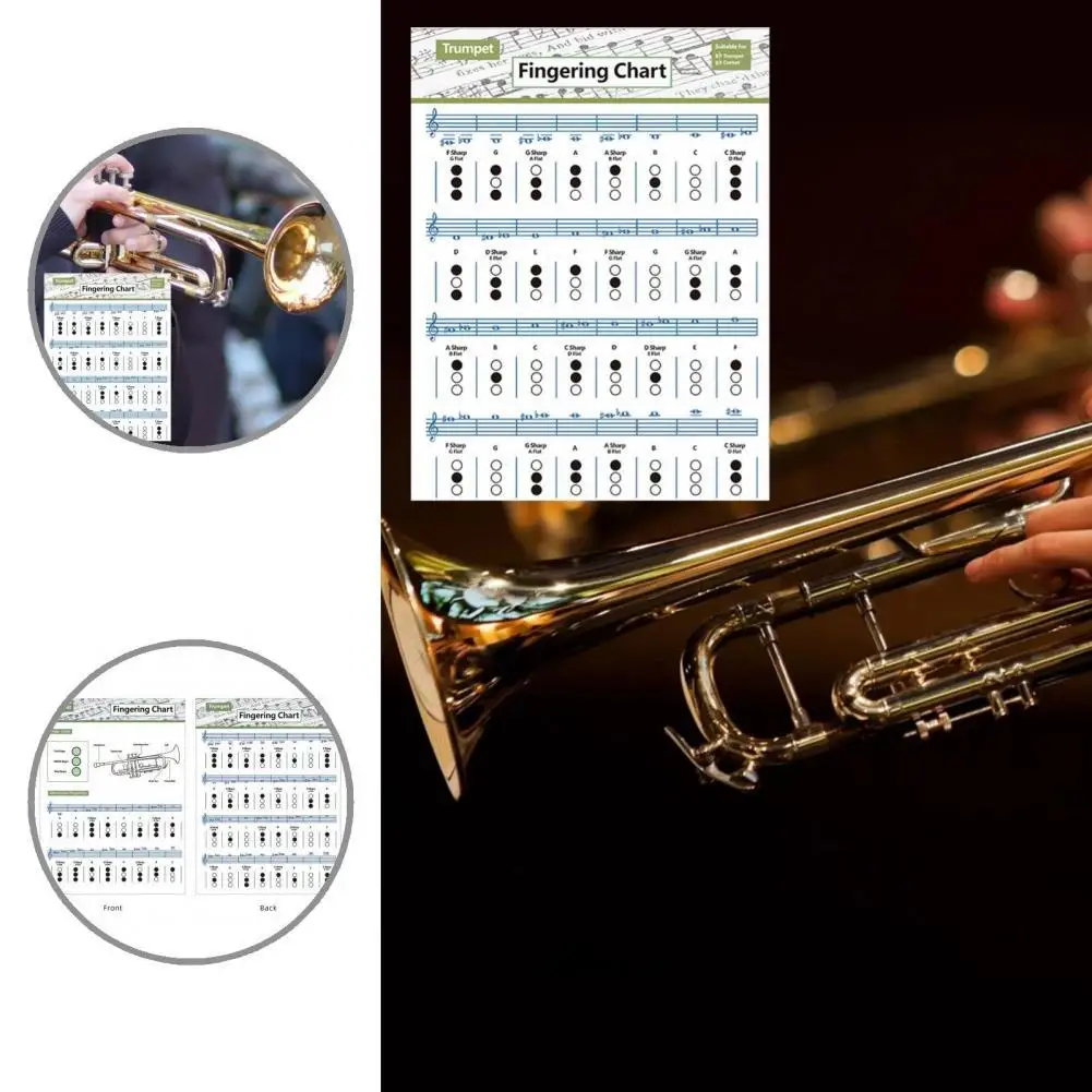 Thin Pragmatic Beginning Trumpet Finger Book Refreshing Color Trumpet ...