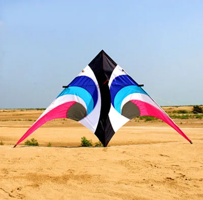 2.8m Big Colorful Triangle Kite for Audlts Large Delta Single Line ...