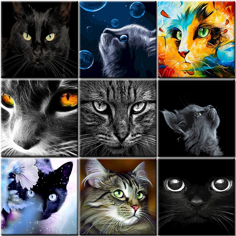 Oil-Cat-Painting-By-Number-Animal-On-Canvas-With-Frame-Acrylic-For ...