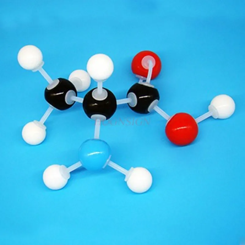 Alanine molecular ball and stick model enlarges the teaching ...