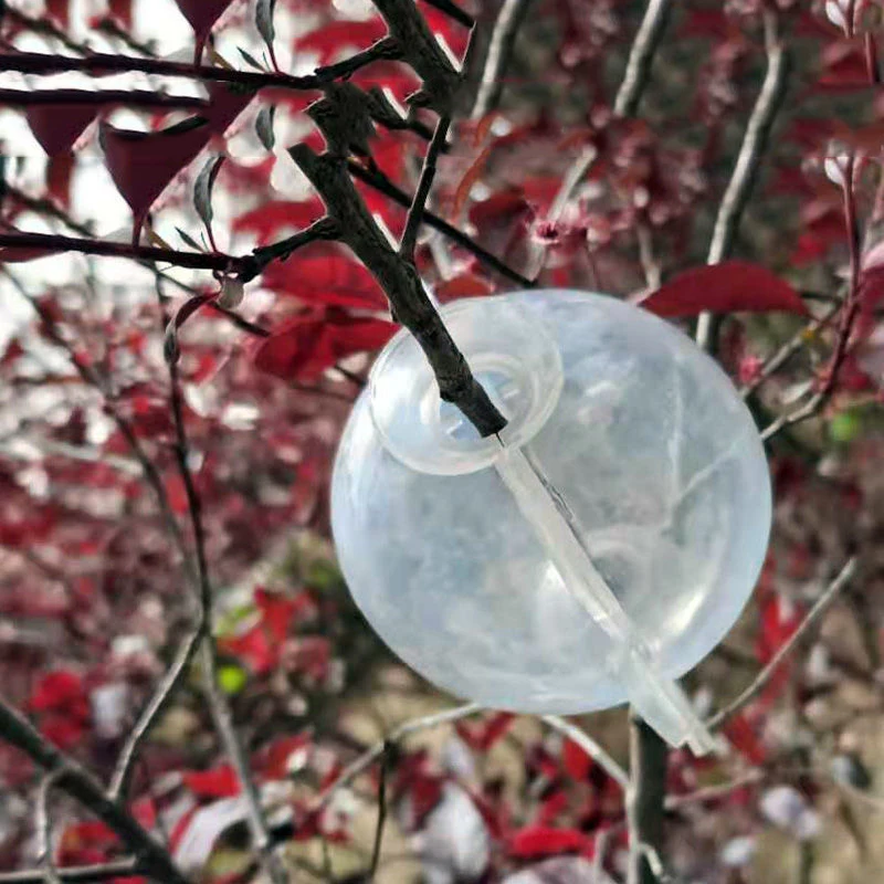 Plant-Rooting-Device-Plant-Root-Growing-Box-High-Pressure-Propagation ...