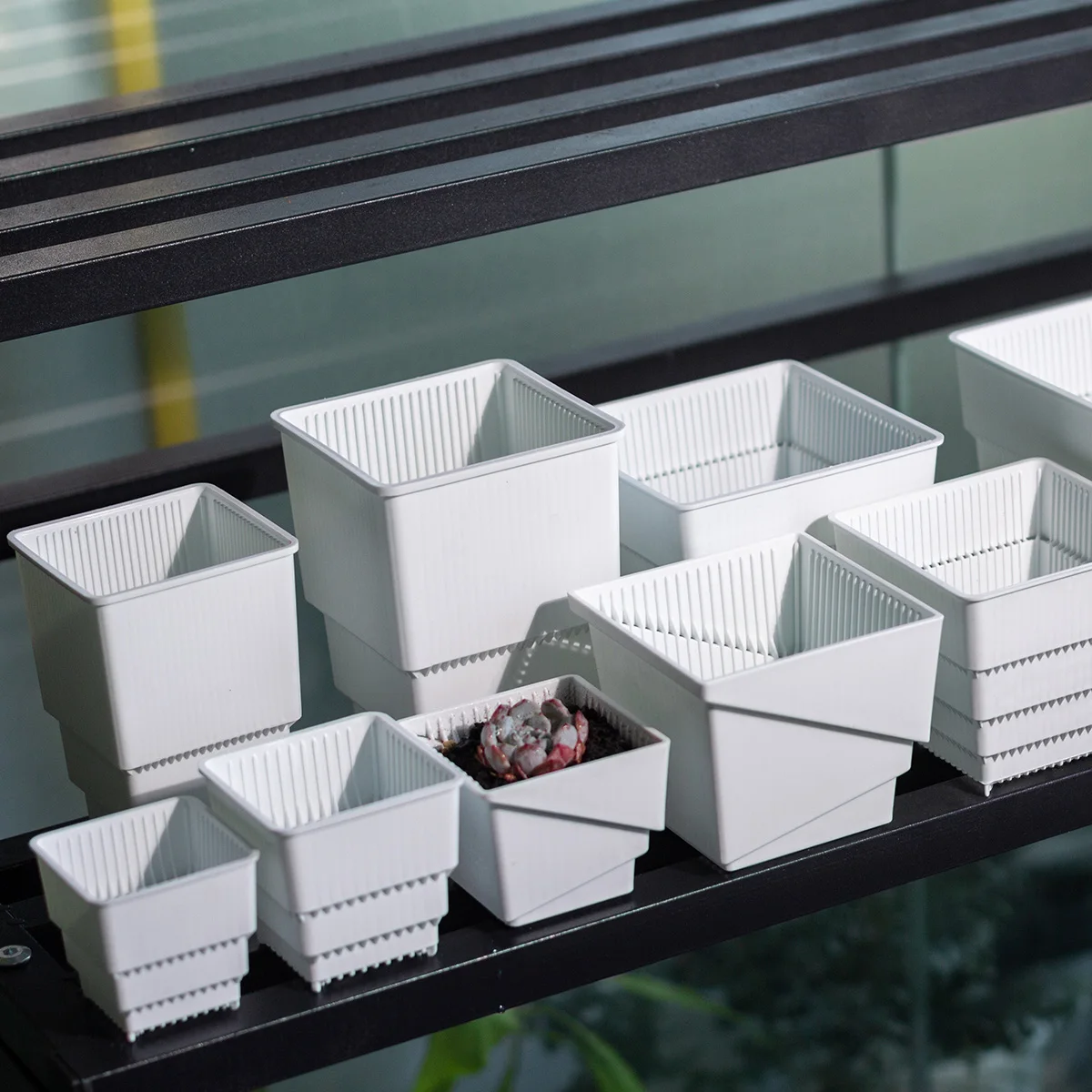 Wholesale-Price-50-pcs-Succulents-Pot-Plastic-Flower-Pot-Plant-Pot ...