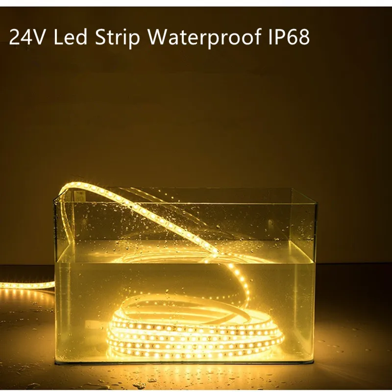 24V Led Strip Light Waterproof IP68 Pool Lights Full Silicone Tube ...
