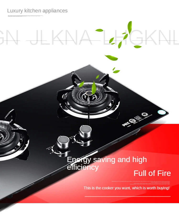 Household gas, natural gas, liquefied gas stove, double burner ...