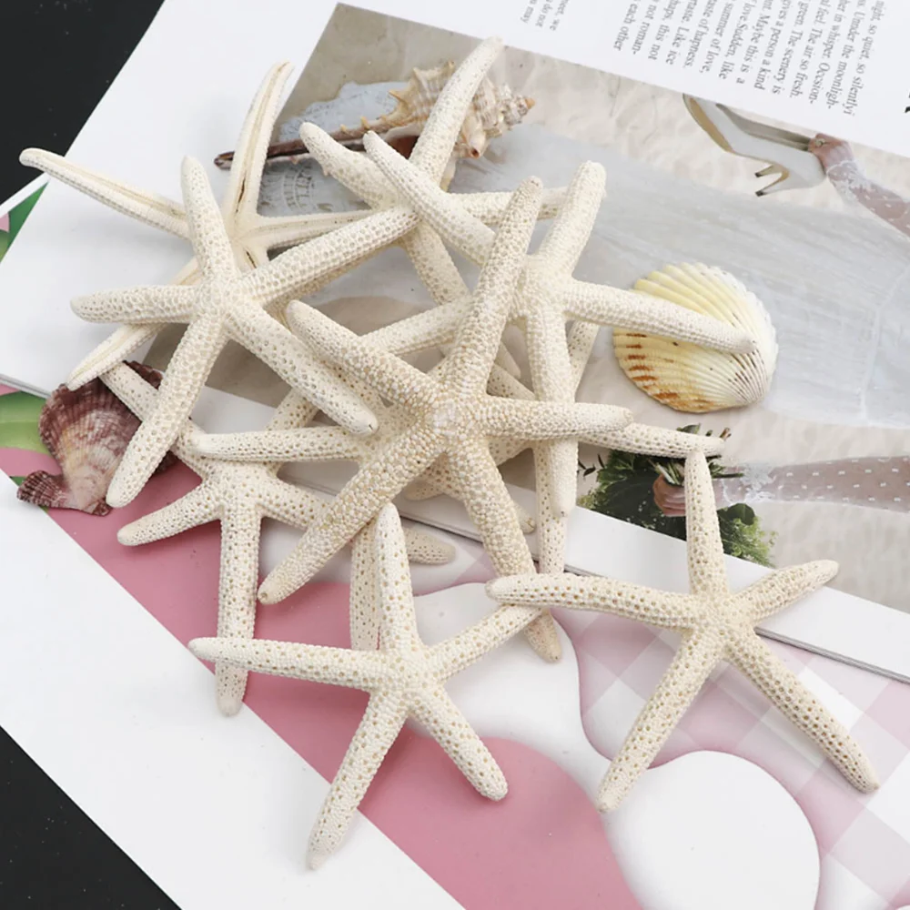 7-10cm-Natural-Starfish-Seashell-Resin-Filling-Sea-Star-for-DIY-Crafts ...