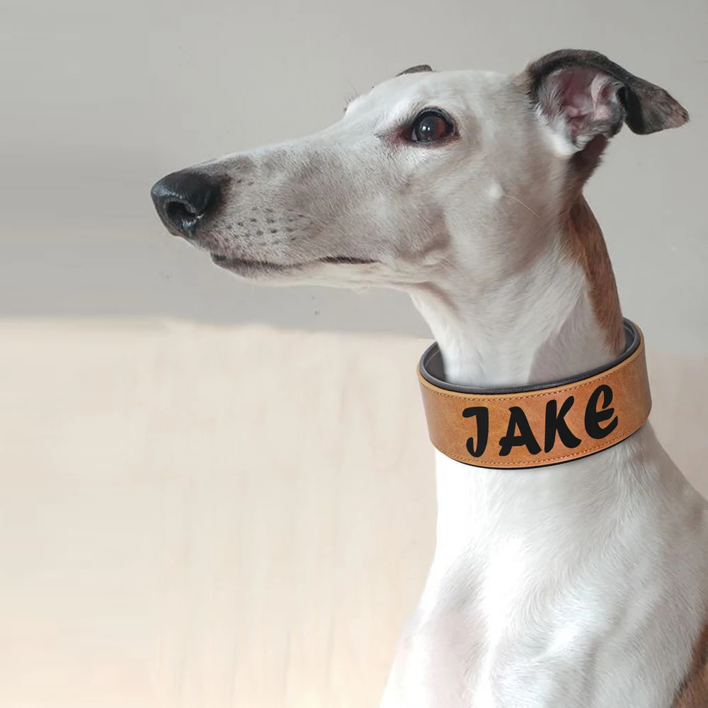 XL - Café - Collier en cuir Large et personnalisé pour chien, accessoire pour animaux de ...