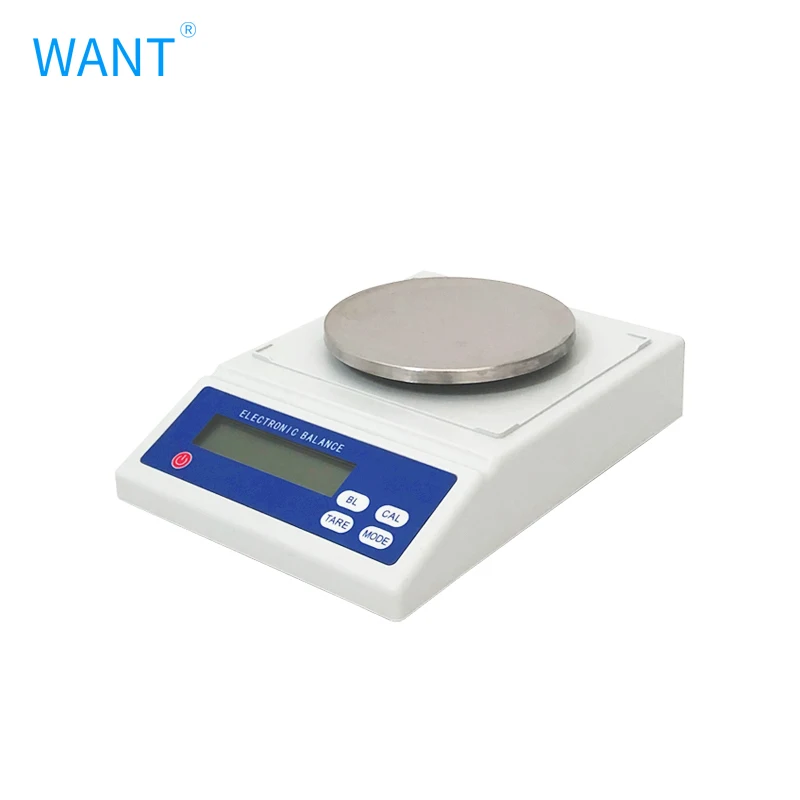 Electronic Balance Diagram