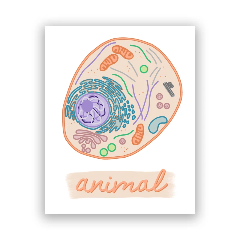 Cell Biology Class Cartoon