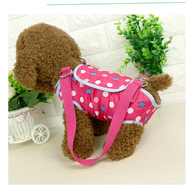 Puppy Straddling