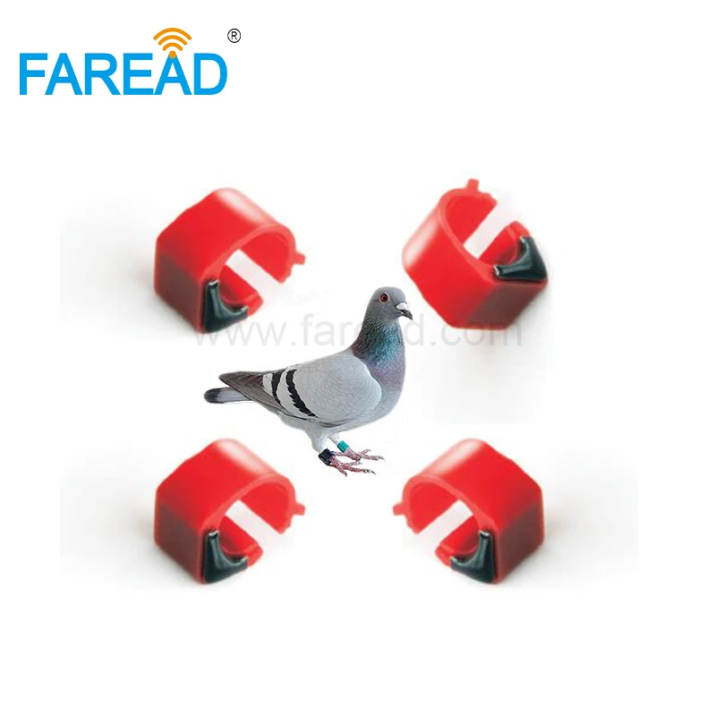 10-50pcs-FAREAD-125Khz-chip-foot-ring-RFID-tags-pigeon-9mm-TK4100 ...
