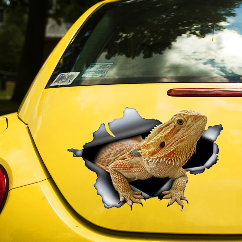 Bumper Stickers Paper Bumper or Laptop Bearded Dragon Sticker For Car ...