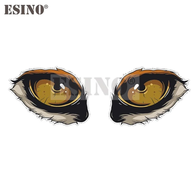 Cartoon Eagle Eyes