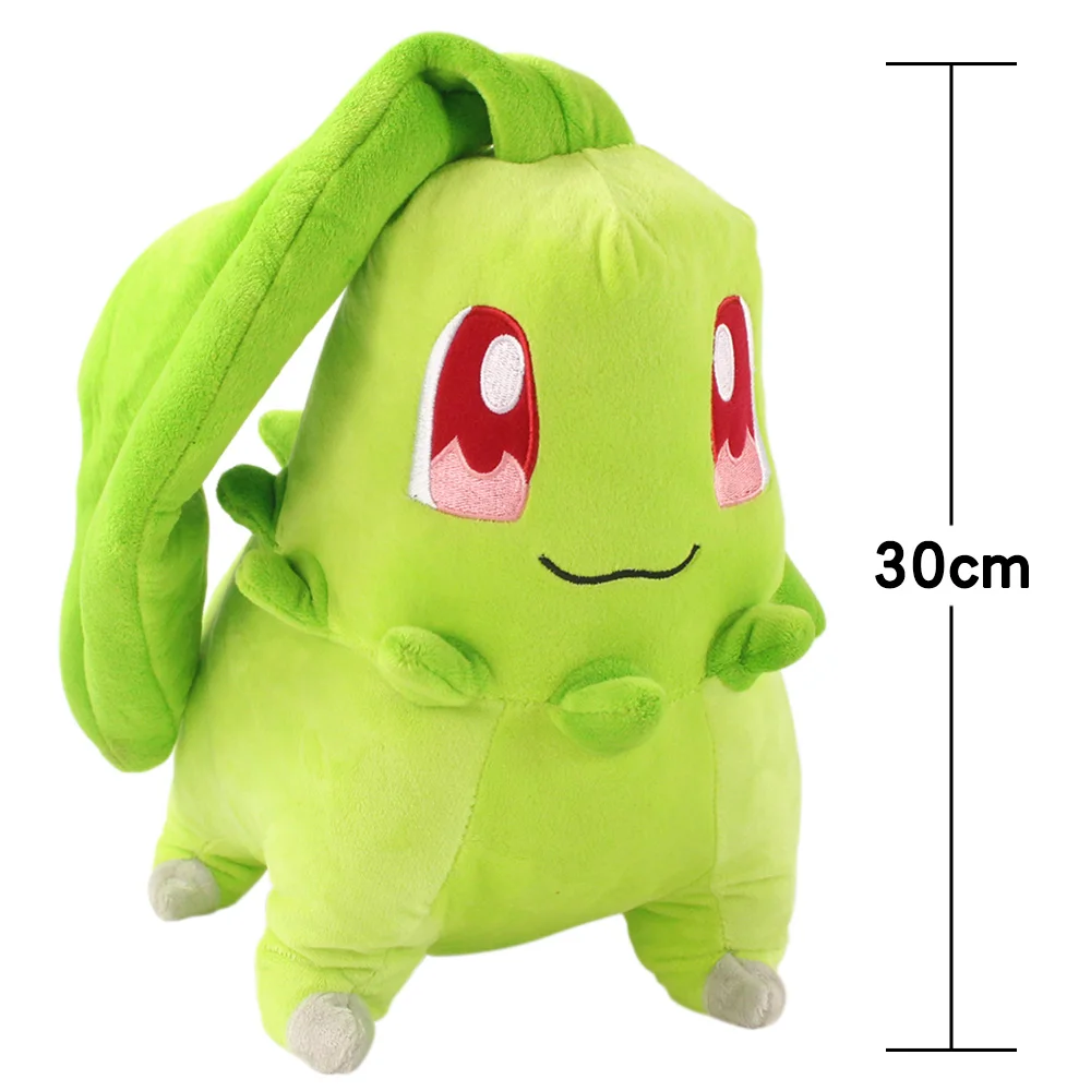 Pokemon Ash And Chikorita