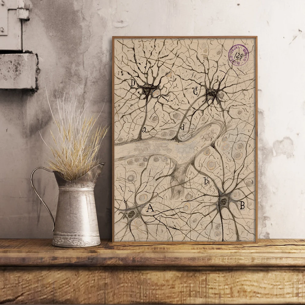 Vintage Poster Neuron Drawing Santiago Ramon y Cajal Wall Art Antique ...