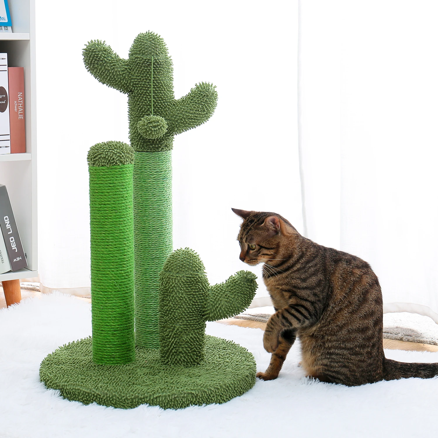 Cactus Kittens