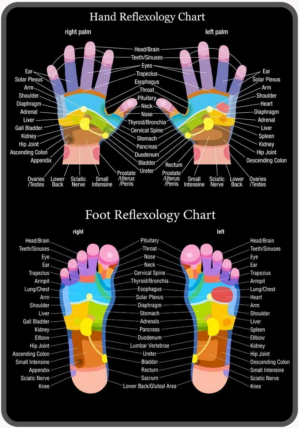 Hand Pressure Point Chart