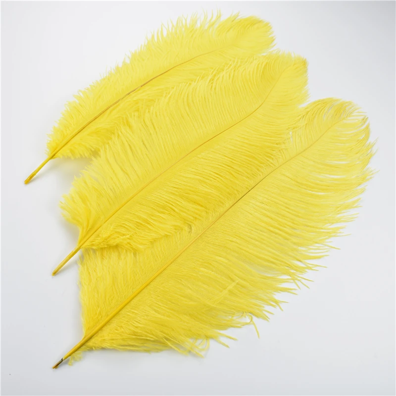 Where can i buy large feathers store