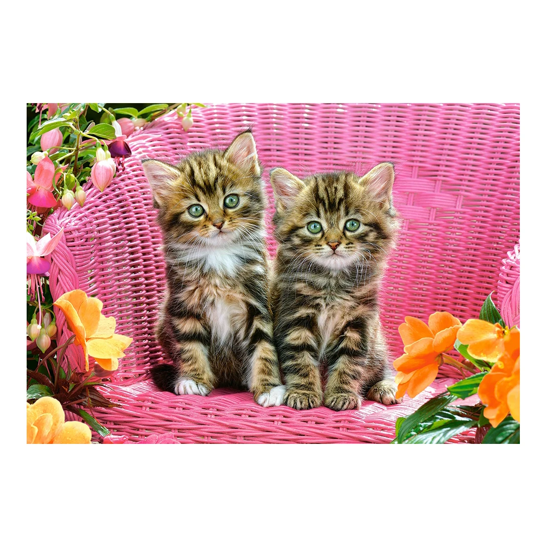 Puzzles-1000-kittens-on-a-chair.jpg