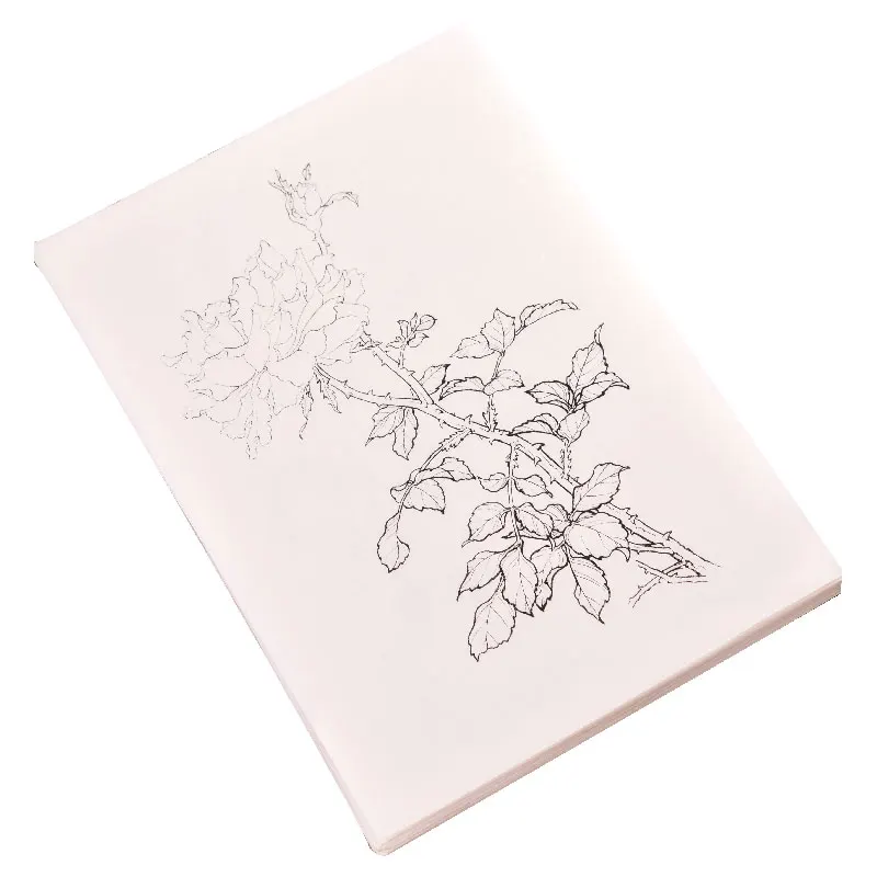 flower-line-drawing-tracing-paper-chinese-tree-branch-flowers