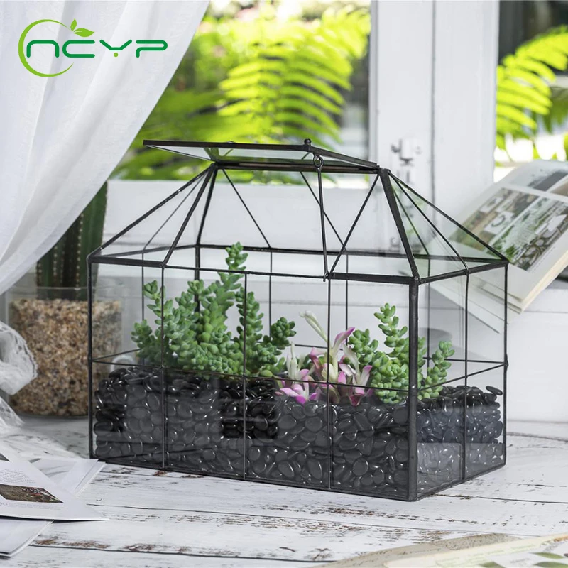 Ncyp Modern Glass Geometric Terrarium Tabletop Vase Black Tin-sealed ...