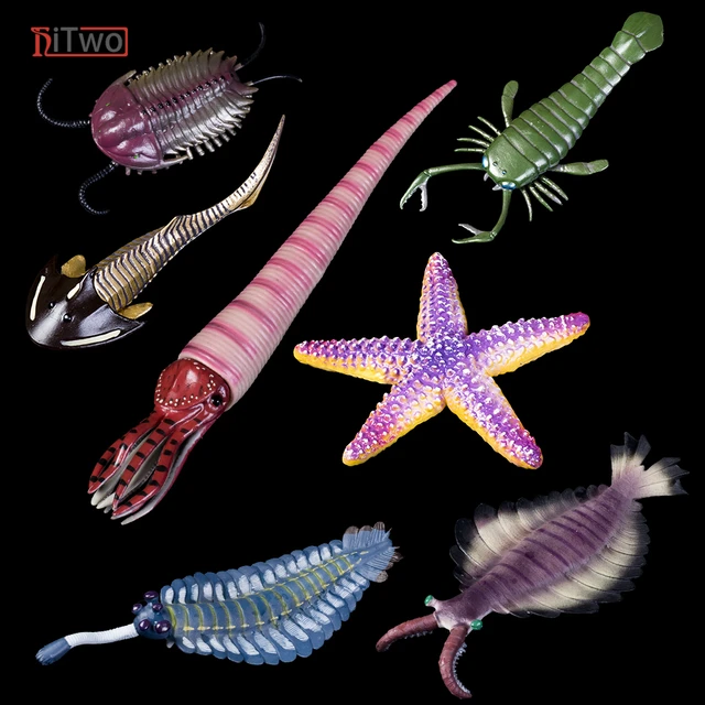 Opabinia Size